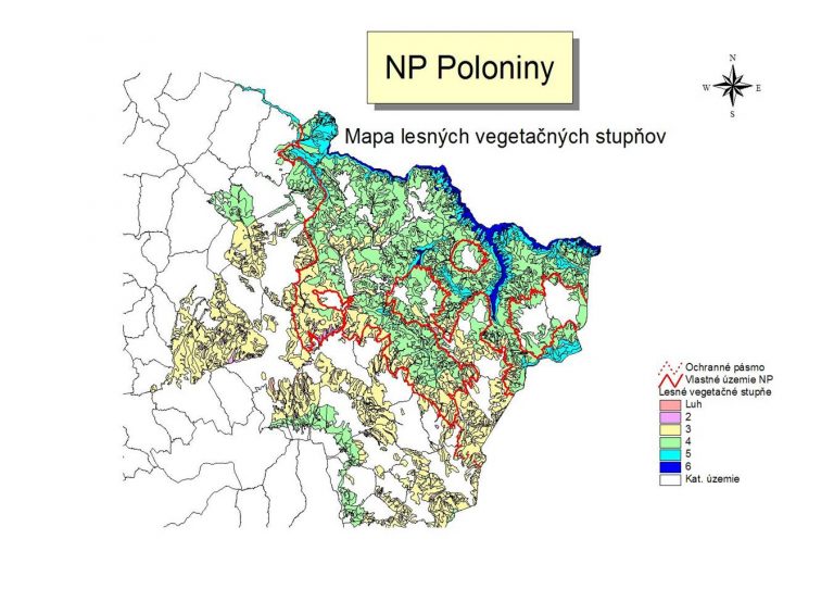 Lesy – NP Poloniny