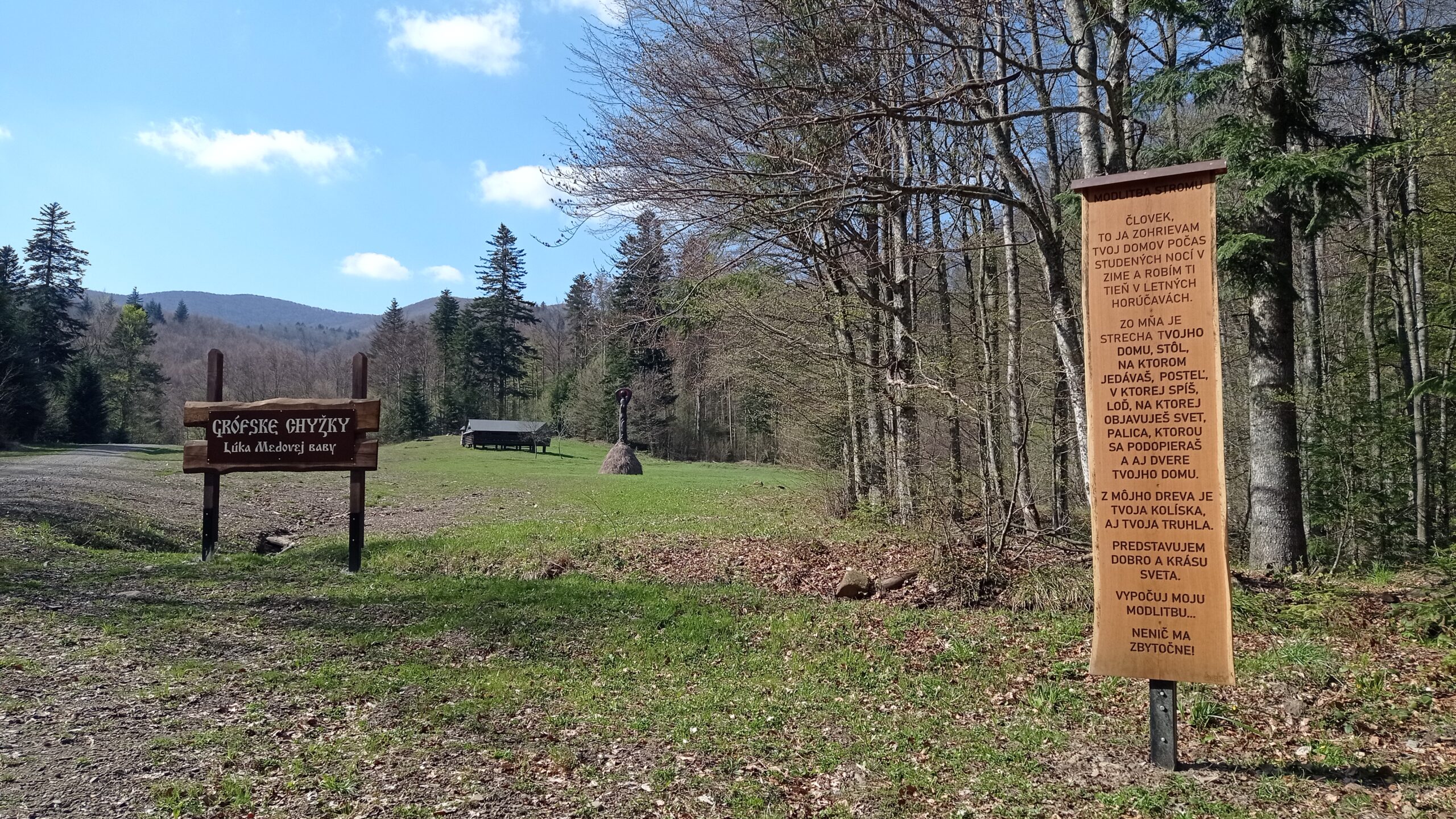 Lúka Medovej baby – atraktívnejšia a lákavejšia – NP Poloniny