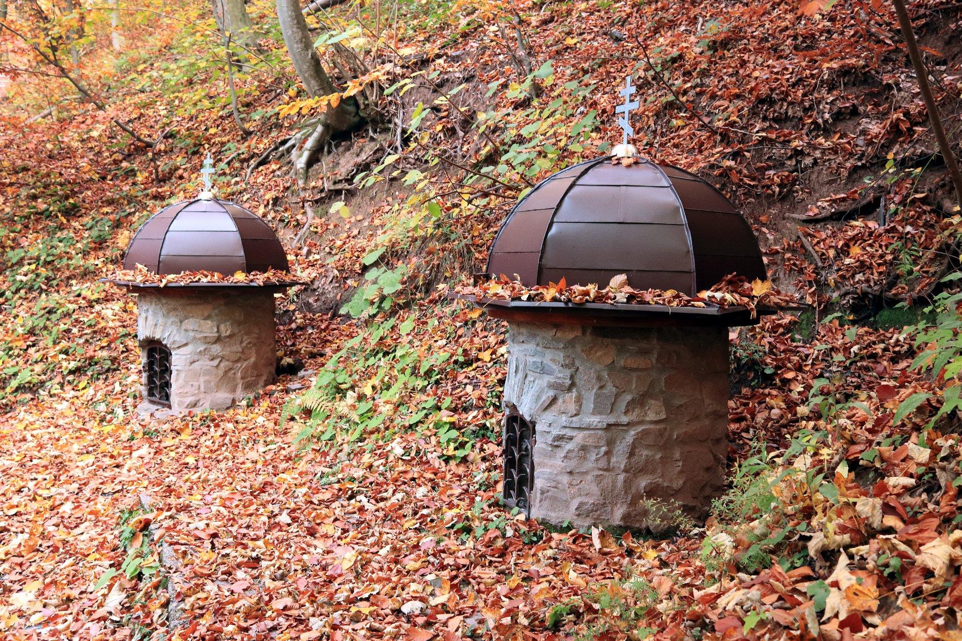 Zaujímavosti – NP Poloniny