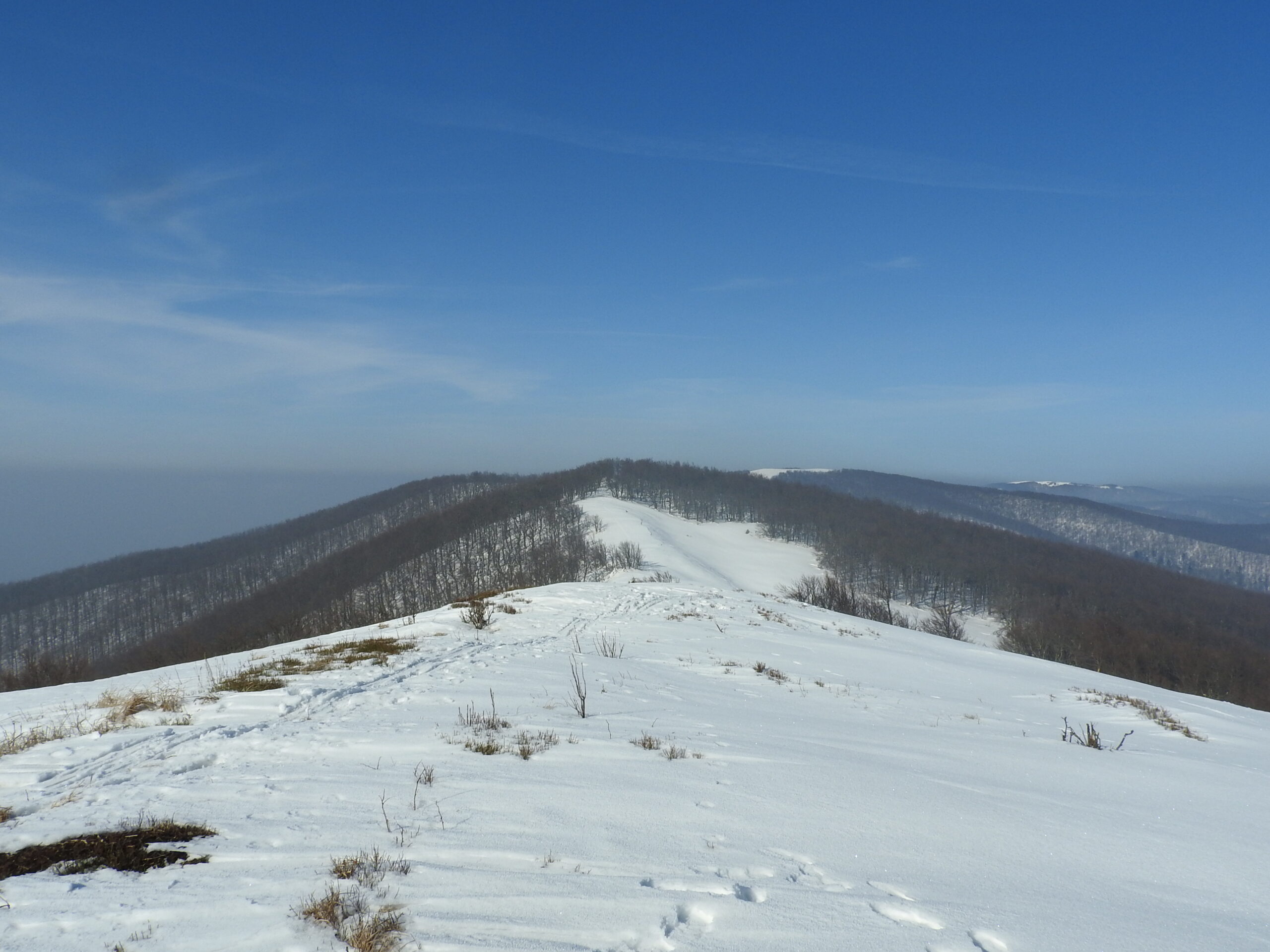 NP Poloniny – oficiálny web správy NP